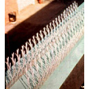 Spikes Needle Strips - Pest Control Technology