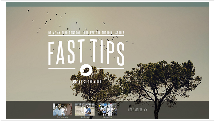Avitrol Introduces 'Drive By Bird Control' Video Series - Pest Control ...