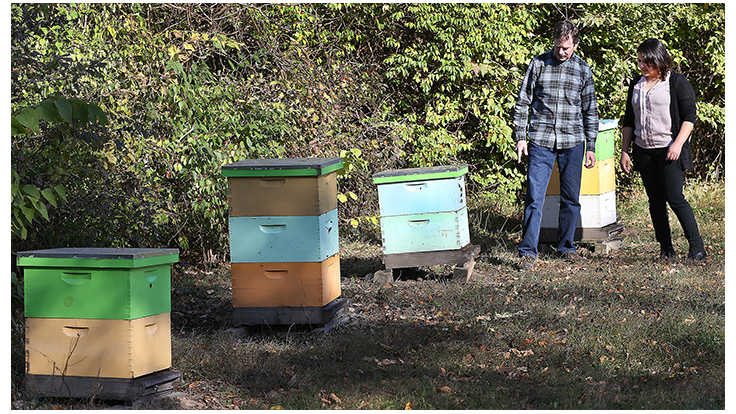 Another Species of Varroa Mite Threatens European Honeybees - Pest ...