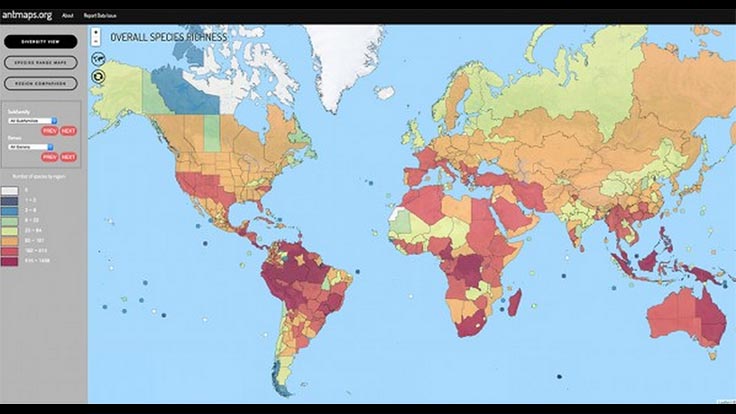 Interactive Map Shows Worldwide Ant Species Distribution - Pest Control ...