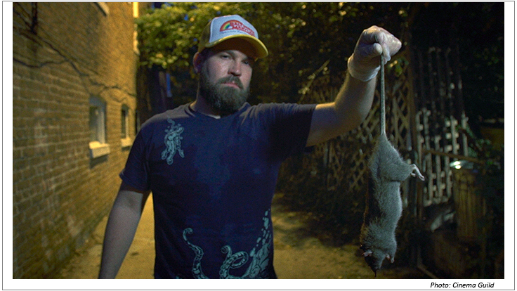 New Program Addresses Rats in Baltimore's Public Housing - Pest Control ...