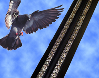 Bird-B-Gone’s Bird Jolt Flat Track System Features Patented Technology ...