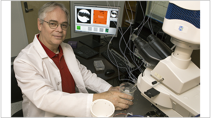 UF's Bloomquist Recognized for Mosquito-Borne Disease Control Research ...