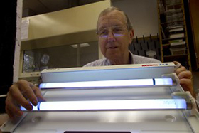 Don’t Toss Old ILT Bulbs, UF Researchers Say - Pest Control Technology