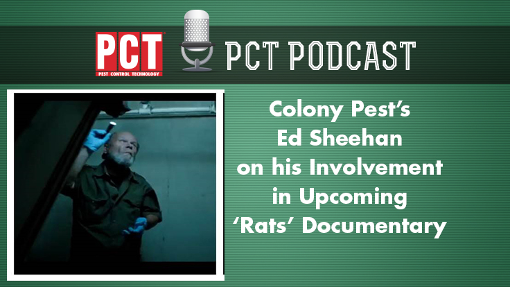 Colony Pest's Ed Sheehan on His Involvement in 'Rats' Documentary ...