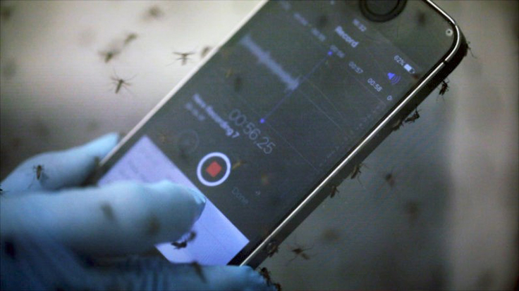 Stanford Researchers Working on Worldwide Mosquito Tracking Project ...