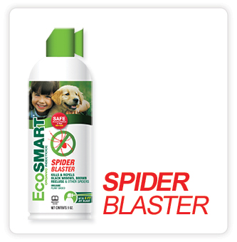 EcoSMART Organic Insecticide - Spider Blaster - Pest Control Technology