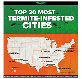 California Cities Top List of Terminix's 20 Most Termite-Ridden Cities ...