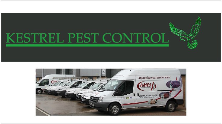 Rollins Acquires Pair of UK Pest Control Firms - Pest Control Technology