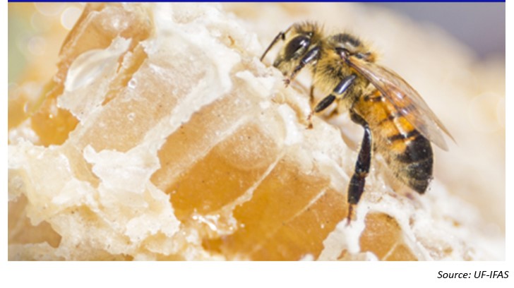 University of Florida Opens New Honey Bee Lab - Pest Control Technology