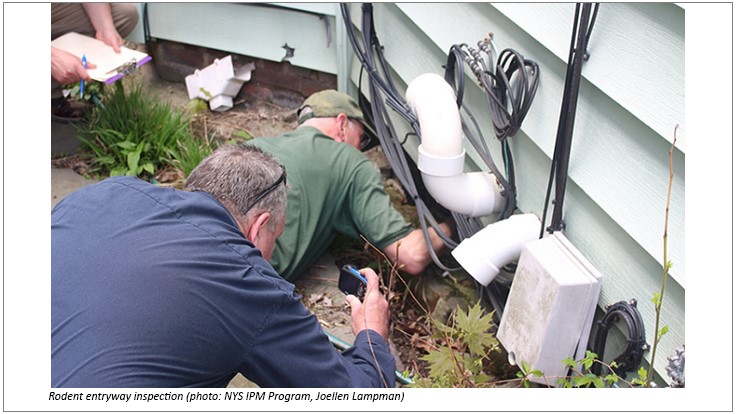 The Inspection: The Critical First Step - Pest Control Technology