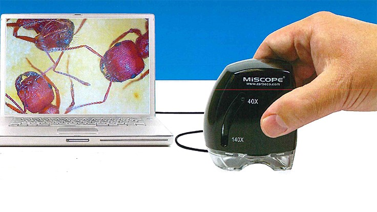 MiScope is a Handheld Digital Microscope for Pest Control - Pest ...