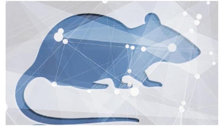 An Update on Today’s Rodent Technologies - Pest Control Technology