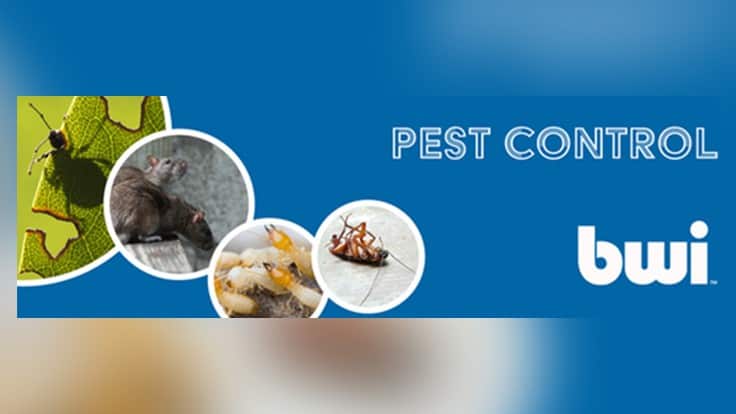 BWI Offers Spring Fling CEU Training - Pest Control Technology