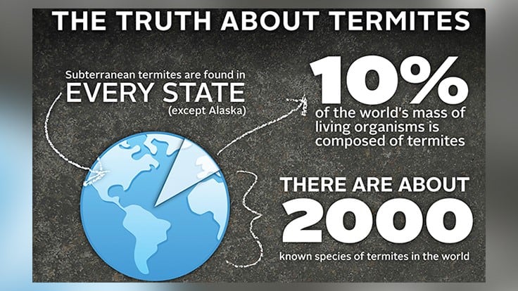 PPMA Announces Termite Awareness Week is March 8-14 - Pest Control ...