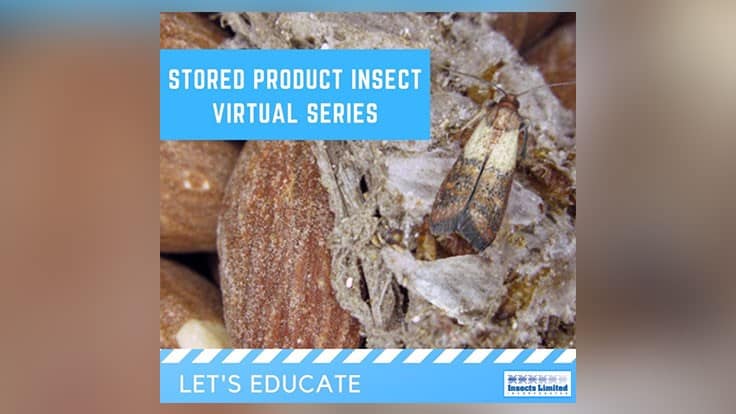 Insects Limited Hosted Stored Product Insects Webinar - Pest Control ...