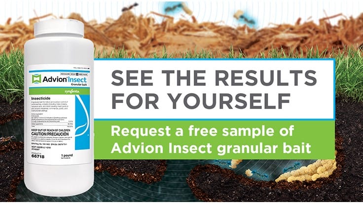 Syngenta Launches Advion Insect Granular Bait - Pest Control Technology