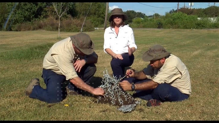 New Video Project Reveals Secret Life of Ants - Pest Control Technology