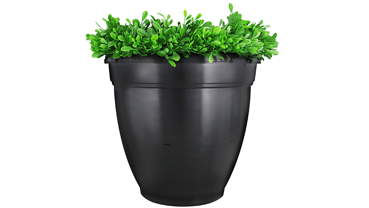 AP&G Launches Catchmaster Ovi-Planter Mosquito Trap - Pest Control ...