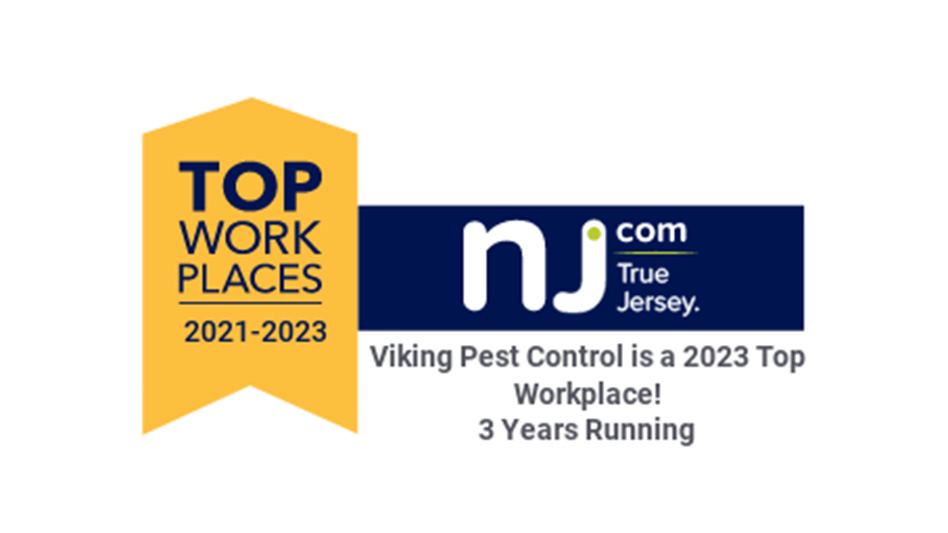 Viking Pest Control Voted as a Top Workplace - Pest Control Technology