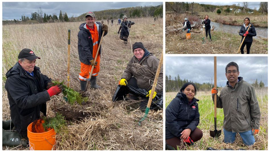 Orkin Canada Cares Team Plants 350 Trees - Pest Control Technology