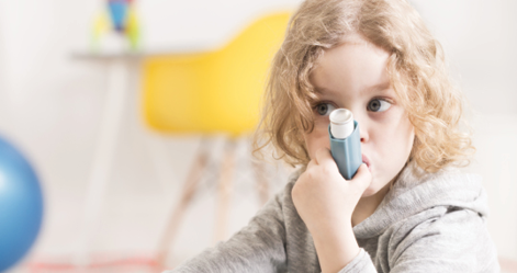 Safety First - Pest Control Technology