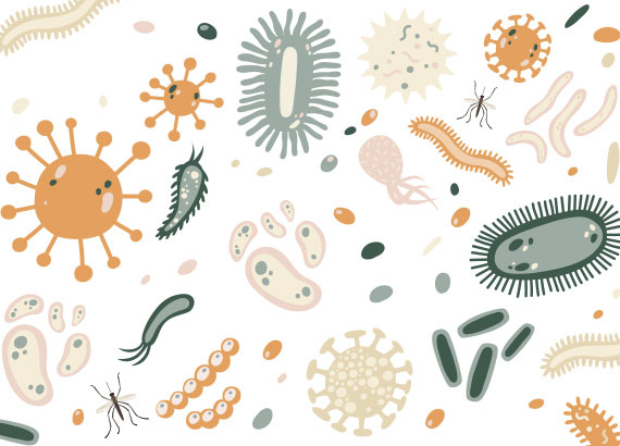 Examining Bacteria Living in and on Mosquitoes - Pest Control Technology