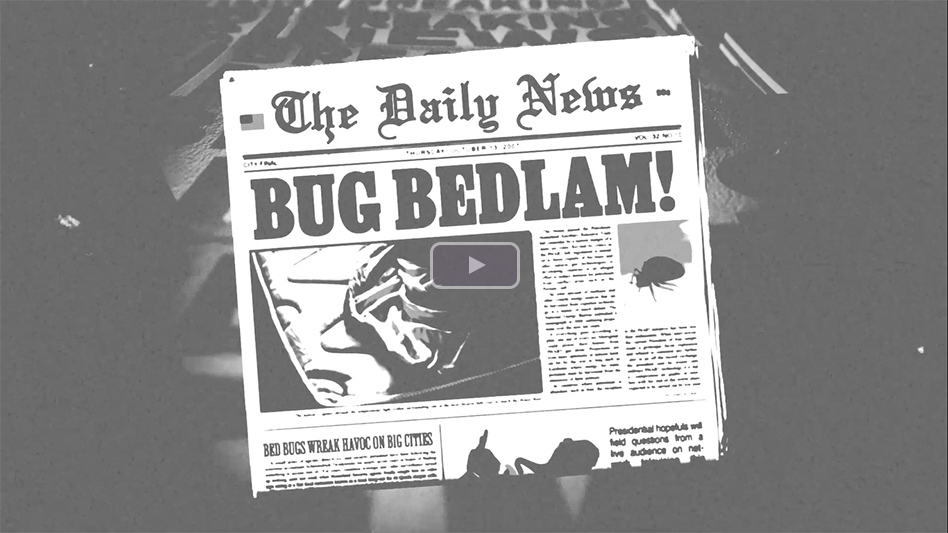 VikingPest.com: 'If You Got Bugs' - Pest Control Technology