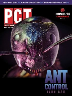 Treating Subnests & Satellite Nests - Pest Control Technology